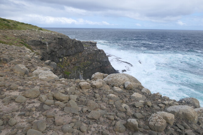 Auckland Islands/Motu Maha/Maungahuka | Robin Kermode Travels